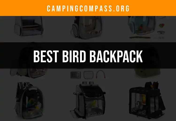 The Top 10 Bird Backpacks for Every Feathered Adventure