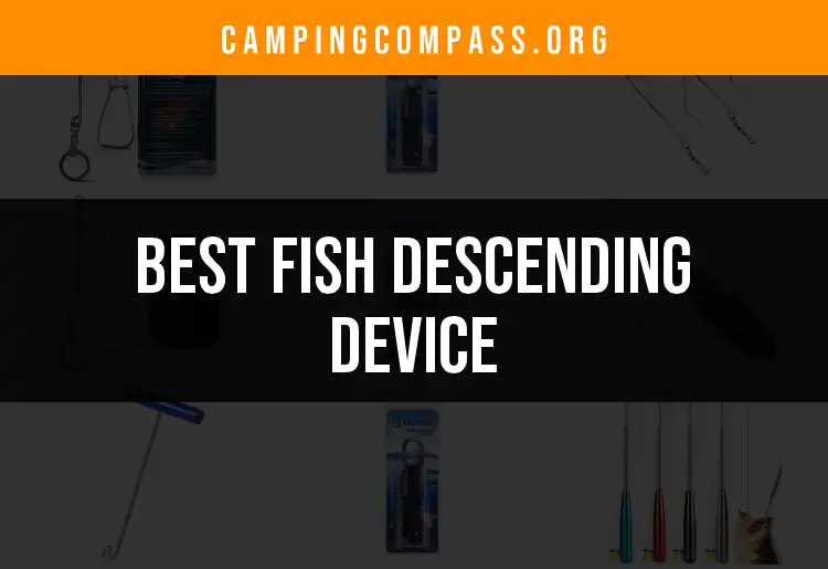 12 Best Fish Descending Devices for Effortless Release