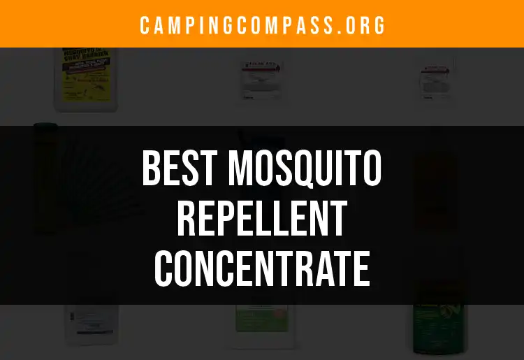 15 Best Mosquito Repellent Concentrates for Outdoor Bliss